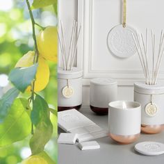 Mathilde M - Parfums d'intérieur - Parfums d'ambiance